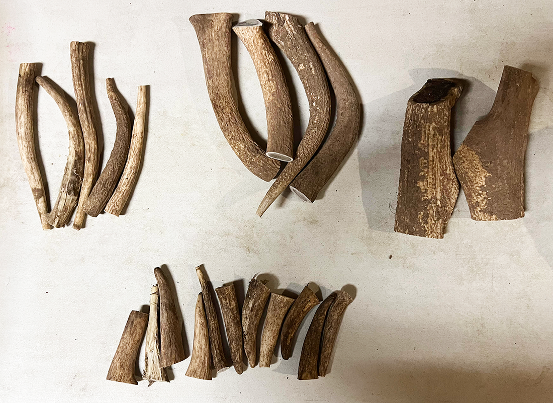 Red Deer Antlers Pet Treats - Farm Raised – FarmFreshXpress - Local ...