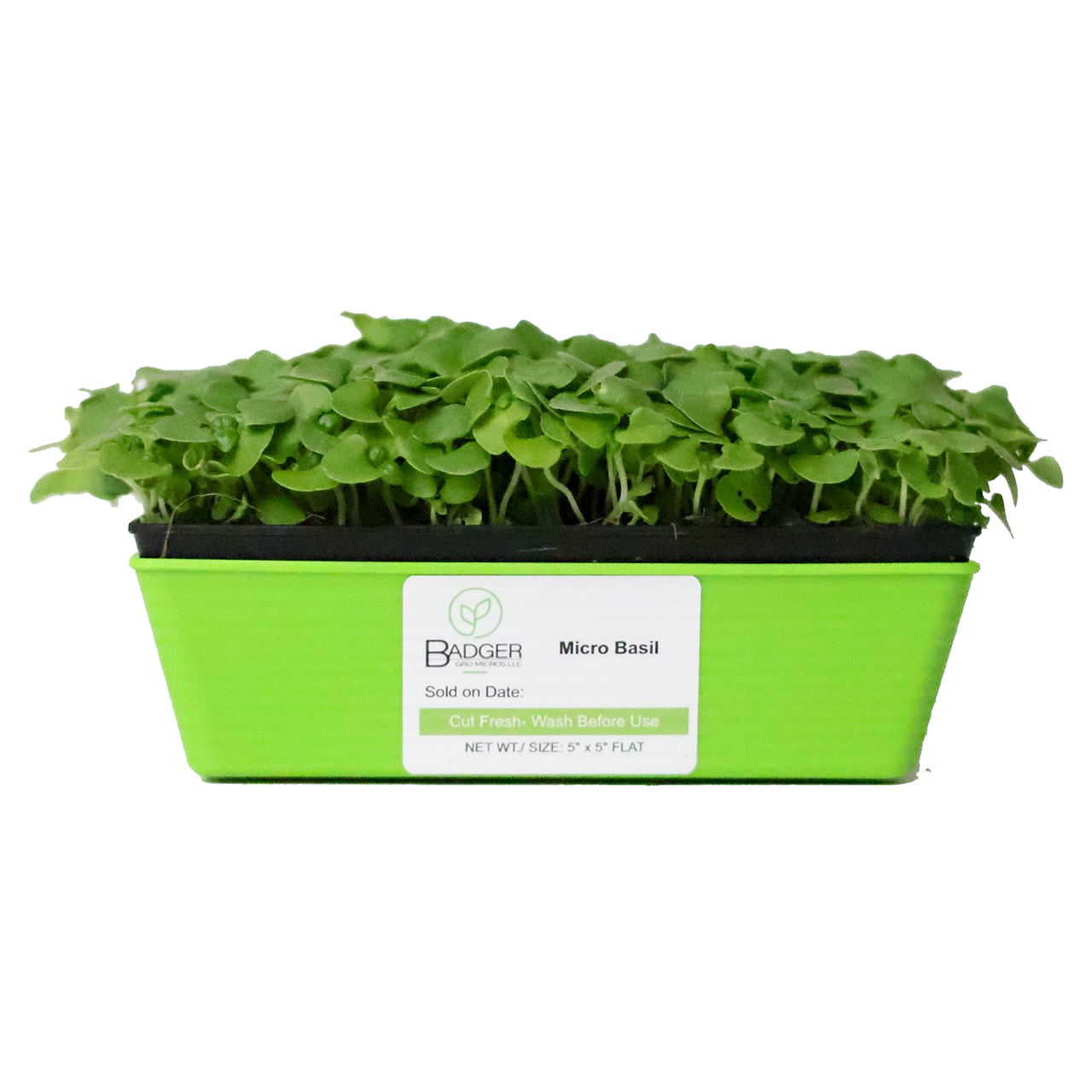 Basil Microgreens – FarmFreshXpress - Local Food to Your Doorstep