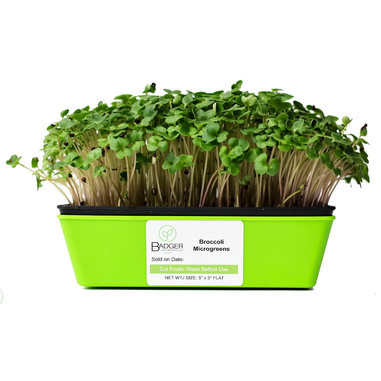 Broccoli Microgreens – FarmFreshXpress - Local Food to Your Doorstep