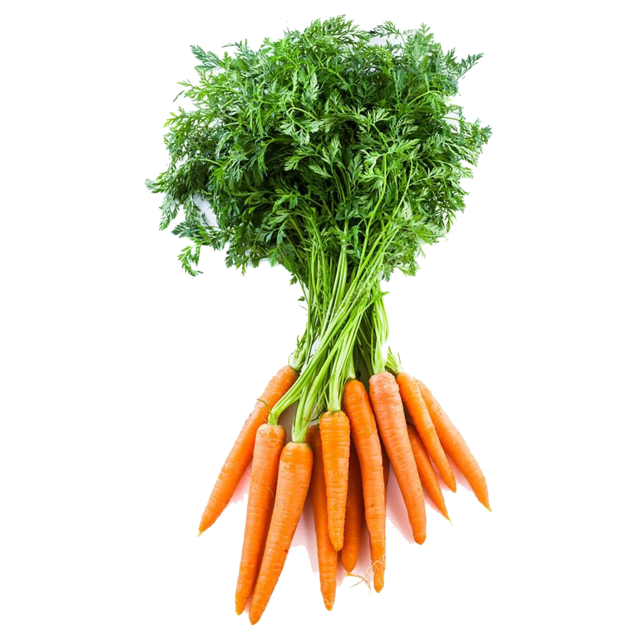 Carrots - Organic - 2 lbs. – FarmFreshXpress - Local Food to Your Doorstep