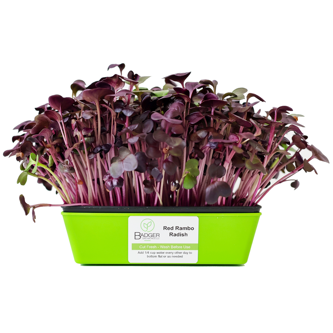 Red Rambo Radish Microgreens – FarmFreshXpress - Local Food to Your ...