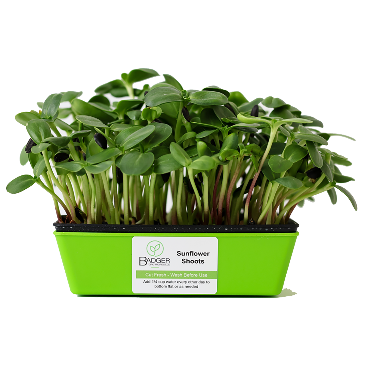 Sunflower Shoots Microgreens – FarmFreshXpress - Local Food to Your ...